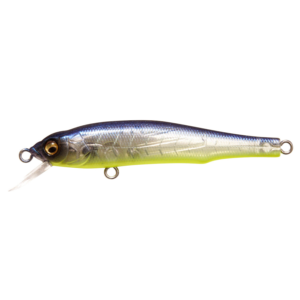 Megabass X-70 (BFS) – Just Fish'n